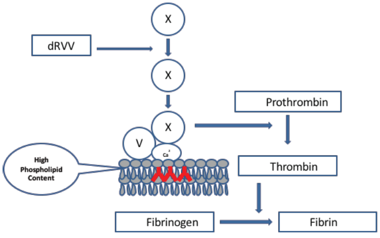 Laboratory Testing for Lupus Anticoagulants :: Erba Mannheim